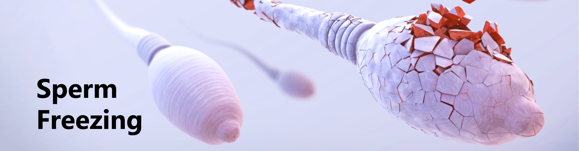 Semen / Sperm Freezing in Sirsa, Haryana, India - Nanhe Kadam IVF Centre